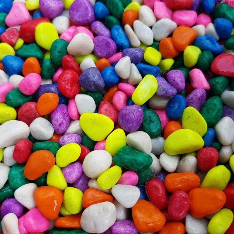 Decorative Stones vs. Mulch: What’s Best for Your Garden?