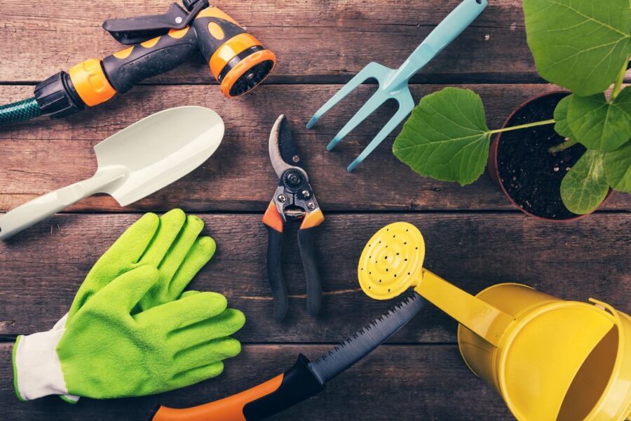 Essential Gardening Tools You Need & How to Use Them