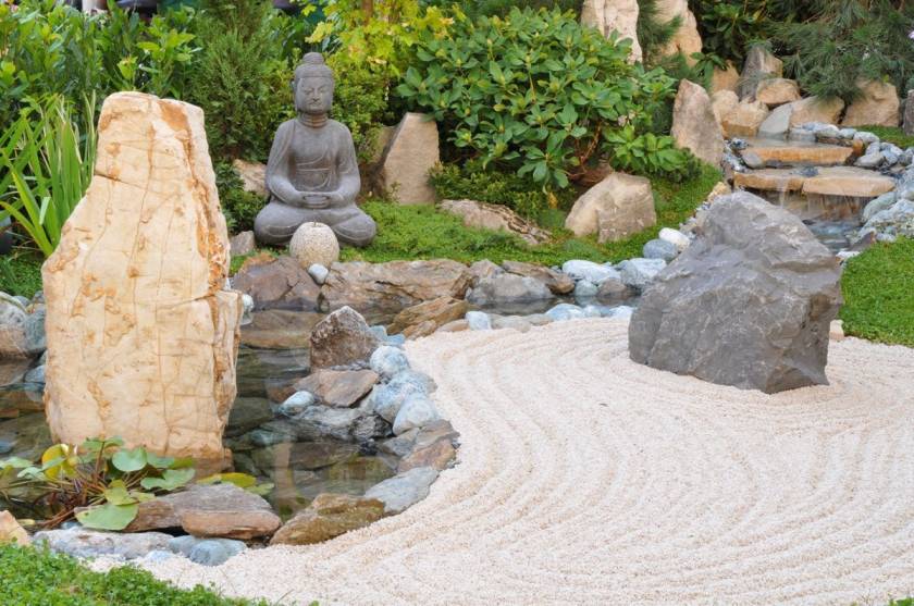 Outdoor Plants to Craft Your Own Serene Zen Garden